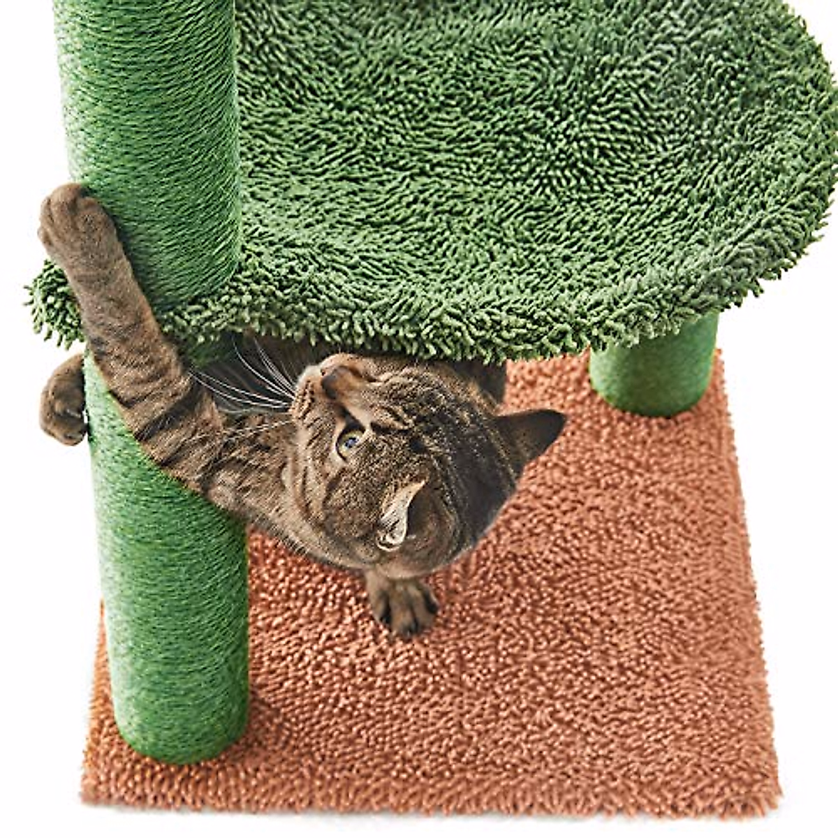Catinsider 35 Inches Cactus Cat Tree with Hammock and Full Wrapped Sisal Scratching Post for Cats Brown Large