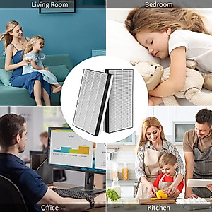 4 Packs F1 True HEPA Repalcement Filters Compatible with 3M Filtrete C01 T02 Series FAP-C01-F1,FAP-T02-F1, FAP-C01BA-G1 and FAP-T02WA-G1 Air Puri Fier