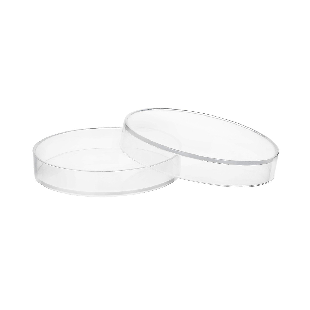 EISCO 12PK Polypropylene Petri Dishes with Lids - 95mm (3.75") Dish Diameter, 100mm (4") Lid Diameter, 13mm (0.5") Depth - Reusable