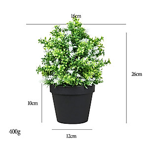 FELICIGG 2 Pack Artificial Plants in Pot, Faux Potted Greenery Plant for Indoor Decorations, Small Fake Plastic Plant for Home Office Garden Decoration,D+d