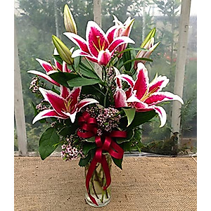 5 Stargazer Lily Bulbs for Planting Perennial, Lily Bulbs for Spring Planting, Lilies Flower Bulbs Outdoors Garden