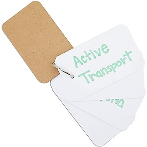 8 Pack Blank Flash Cards with Rings for Study Materials, Note Cards, Memo Scratch Pads, 400 Total Pieces (2 x 3.5 In)