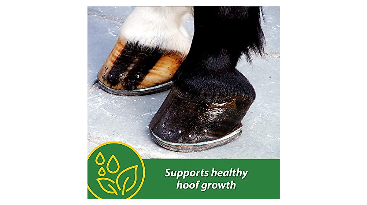 Farnam HB 15 Hoof Supplement for Healthy Hoof Growth | 48-Day Supply