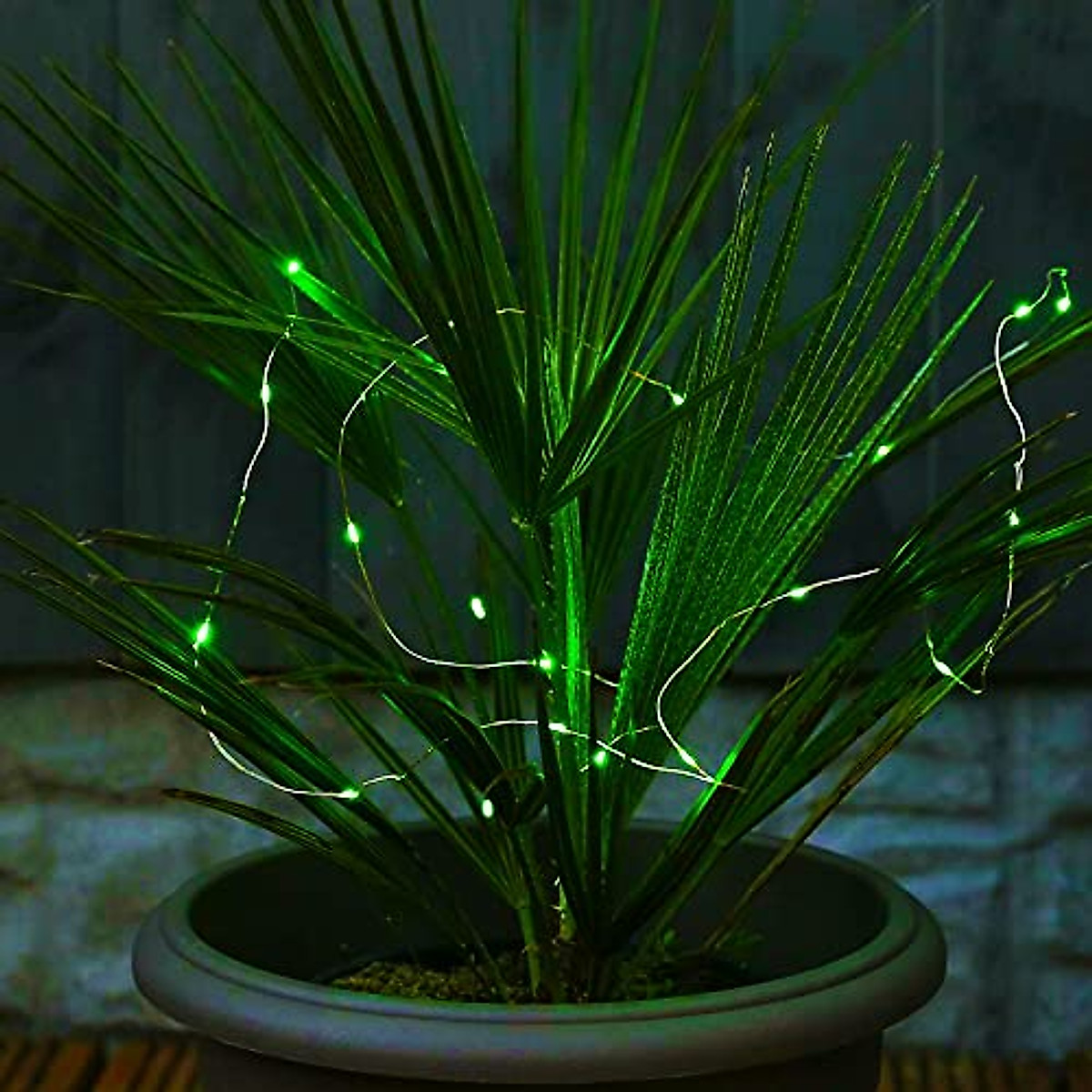 kemooie 2 Packs Solar String Lights, 100 LED 33FT 8 Twinkle Modes Green Solar Powered Fairy Lights, Waterproof for Outdoor, Tree, Garden, Christmas Decorations (Green)