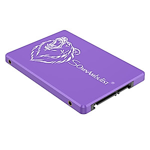 Somnambulist SSD SATAIII Hard Drive 2.5 SSD 120GB 480GB 512GB Hard Drive Internal Solid State Drive (Purple Bear Head 60GB)