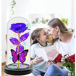Mothers Day Flowers Gifts Mom, Rose Flower Mom Gifts Wife Grandma Her, Galaxy Crystal Light Up Rose Flowers in A Glass Dome Purple, Mother Day Presents from Daughter Butterfly Birthday Gifts for Women