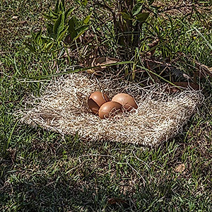 BWOGUE 100g/3.5oz Natural Grass Nesting Pads for Chicken Hens Birds Nest Bedding