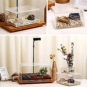 REMASIKO Magnetic Acrylic Case, 12" x 8" x 6" Enclosure Flat Long Reptile Breeding Box Terrarium Cage for Scorpion Sling Isopods Lizards Invertebrates Insects Mantis