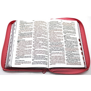 Santa Biblia Reina Valera 1960 Letra Grande tamano manual con Cierre Indice color Rosado Floral/ Spanish Holy Bible RVR 1960. Handy Size, Large Print, Zipper, Pink