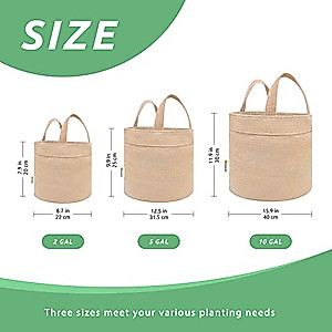 Artpuch Grow Bags 2 Pack 2 Gallon, Desert Sand Heavy Duty Fabric Pot with Handle HDPE Reusable Garden Plant Pots for Indoor/Outdoor