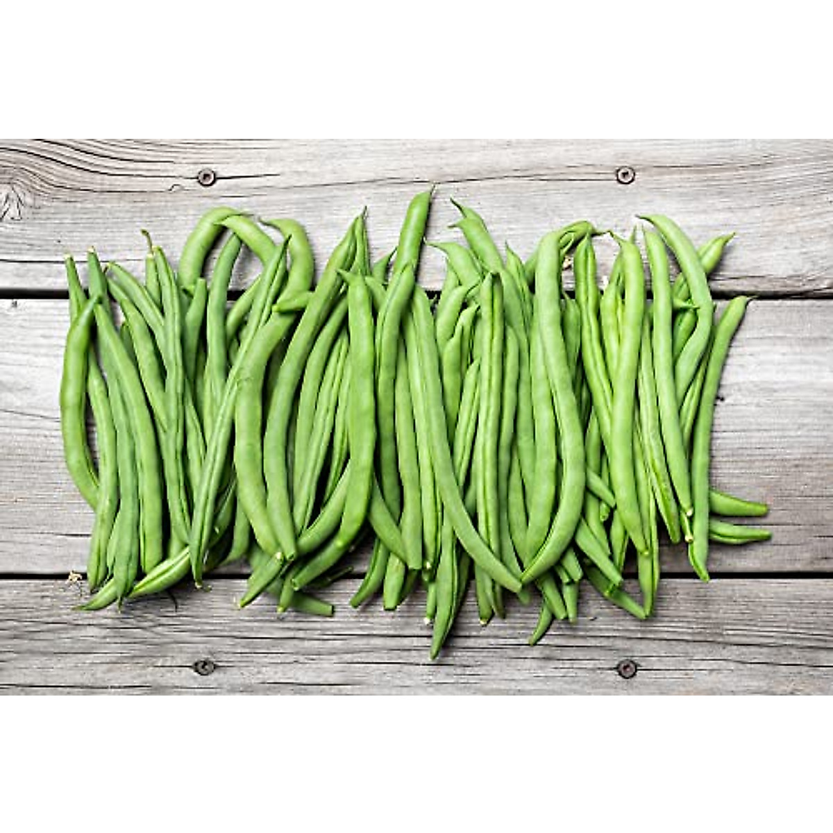 Blue Lake Pole Bean Seeds for Planting, 50+ Heirloom Green Bean Seeds Per Packet, (Isla's Garden Seeds), Non GMO Seeds, Botanical Name: Phaseolus vulgaris