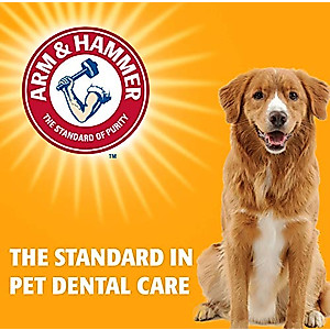 Arm & Hammer for Pets Smilies Dental Chews for Dogs | Dental Chews Fight Bad Dog Breath, Plaque & Tartar Without Brushing | Fresh Mint Flavor, 8 Pieces Dog Dental Treats, 4 Pack