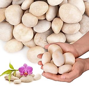 Lechloris 20lb Cream White River Rocks Outdoor Landscaping- Polished Pebble for Plants – Garden Decorative Stones-1-2 Large Plant Rocks,Ideal for Aquarium, Home Decor