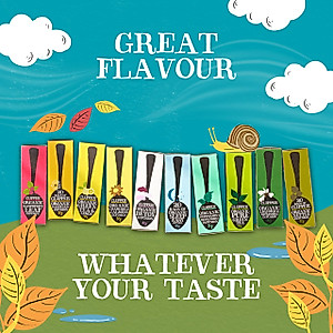 Clipper Tea Strawberry & Elderflower Herbal Tea – Caffeine Free, USDA Organic, Great Hot or Iced – Refreshingly Fruity, Natural, Fair & Delicious – 20 Tea Bags