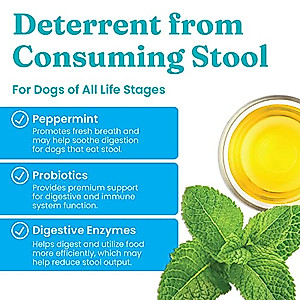Solid Gold Stop Eating Poop Soft Chews for Dogs with Coprophagia - Natural Holistic Deterrent for Dogs Eating Poop - Grain Free Supplement Chews & Powder with Peppermint & Parsley Oil - 60 Count