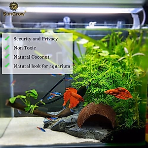 SunGrow Betta Fish Cave, Habitat Made from Coconut Shell, Soft-Textured Smooth Edged Spacious Hideout, for Resting and Breeding, 1 Pc
