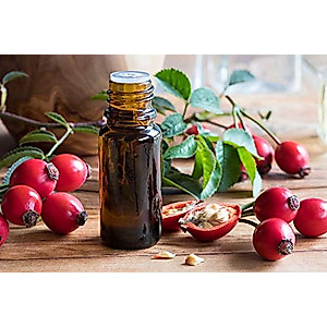 1216-Puppy Rose (Rosa Canina) Seeds by Robsrareandgiantseeds UPC0764425788690 Non-GMO,Organic,USA Grower,Historic plants,Showy,Bonsai,Exotic,Rosehip-Tea-Oil-Syrup,Wild-Dog Rose,1216 Package of 7 Seeds