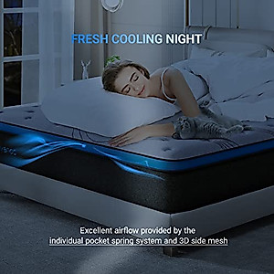 Avenco King Hybrid Mattress, 10 Inch King Size Mattress in a Box, Medium Firm Pocket Spring and Gel Memory Foam Mattress for Queen Bed, Max Loading 550LBS, CertiPUR-US, 100 Nights Trial