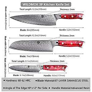 WILDMOK Damascus Kitchen Knife Sets 3 PCS, Razor Sharp Kitchen Knives Made of Japanese Damascus Steel, Well-Balanced Damascus Chef Knife set with Premium Resin Full Tang Handle Triple Rivet Gift Box