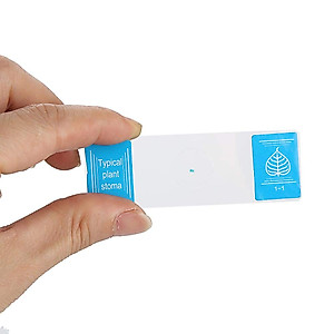 Hilitand 35pcs Biology Microscope Slide Glass Biological Prepared Slide Seven Type Biology Slide Lab Specimens Set