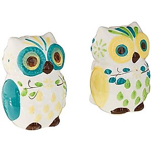 Floral Owl Salt & Pepper Shakers, Hand-painted Ceramic by Boston Warehouse, 2-Piece Set, Multicolor