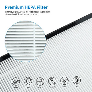 FCFMY 2 Packs 3-in-1 Blue Ultra-Filter Air Filter for Okaysou Airmax 8L Purifier with H13 Grade True HEPA Replacment Filter