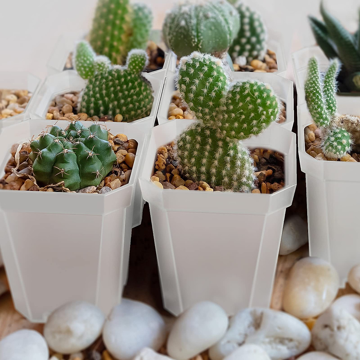 foxany 3" Clear Nursery Pots, 30 Pcs Thick Plastic Plant Pots, Square Flower Planting Pots, Seedling Planter Seed Starter Pots with Saucers