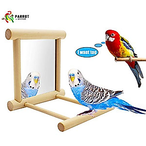 Blessed family Bird Parakeet Mirror for Cage,Parrot Perch Stand,Wooden Hummingbird Swing Toy,Parakeet Accessories for Cockatiels Conure Finch Lovebird Canary African Grey Macaw