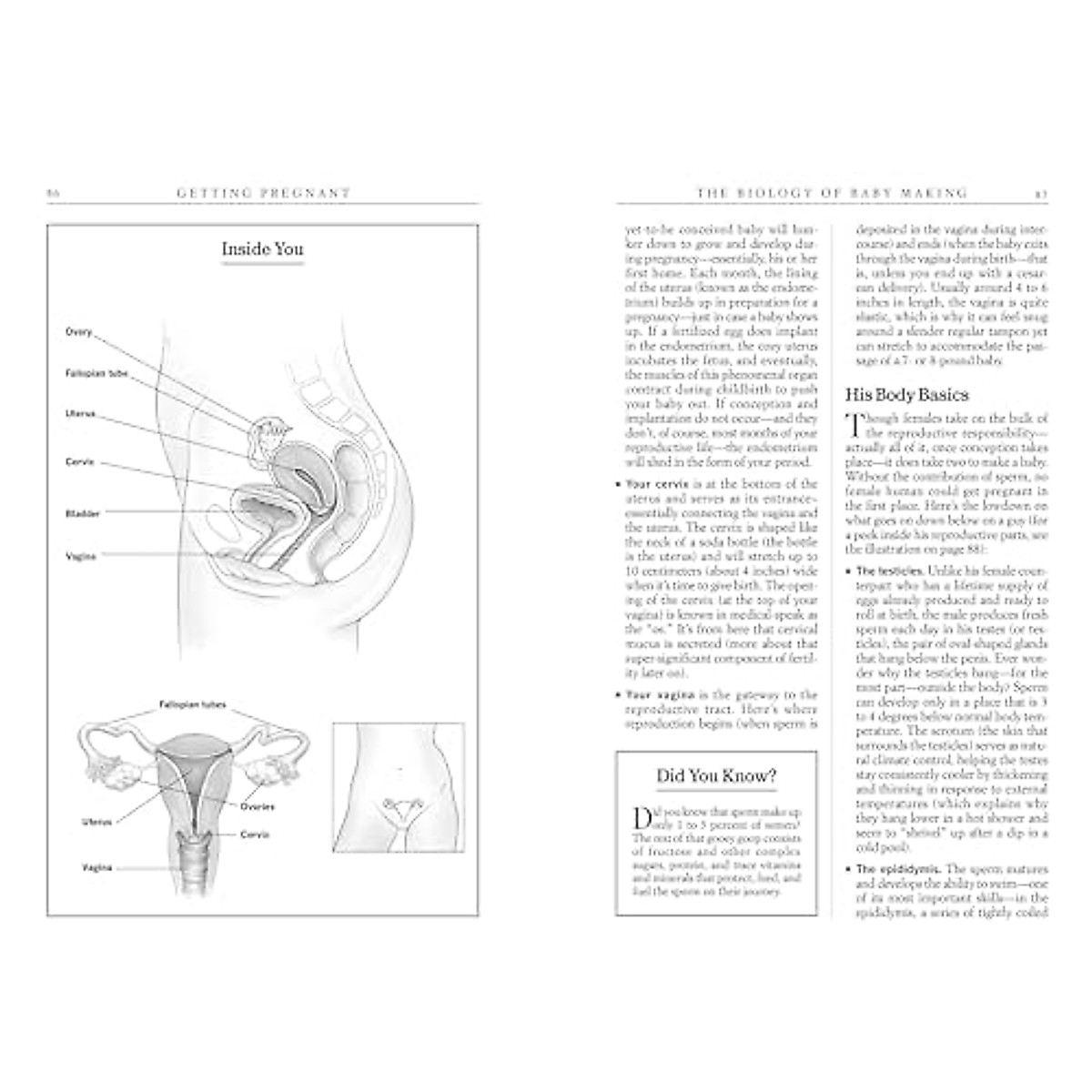 What to Expect Before You're Expecting: The Complete Guide to Getting Pregnant
