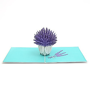 Liif Lavender Blooms Pop Up Card, 3D Flower Greeting Card, Pop Up Card for All Occasions, Birthday, Mother's Day, Anniversary, Wedding, Congratulations, Get Well Card, Handmade Gift