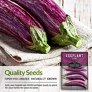 Survival Garden Seeds - Long Purple Eggplant Seed for Planting - Packet with Instructions to Plant and Grow Skinny Italian Aubergine Plants in Your Home Vegetable Garden - Non-GMO Heirloom Variety