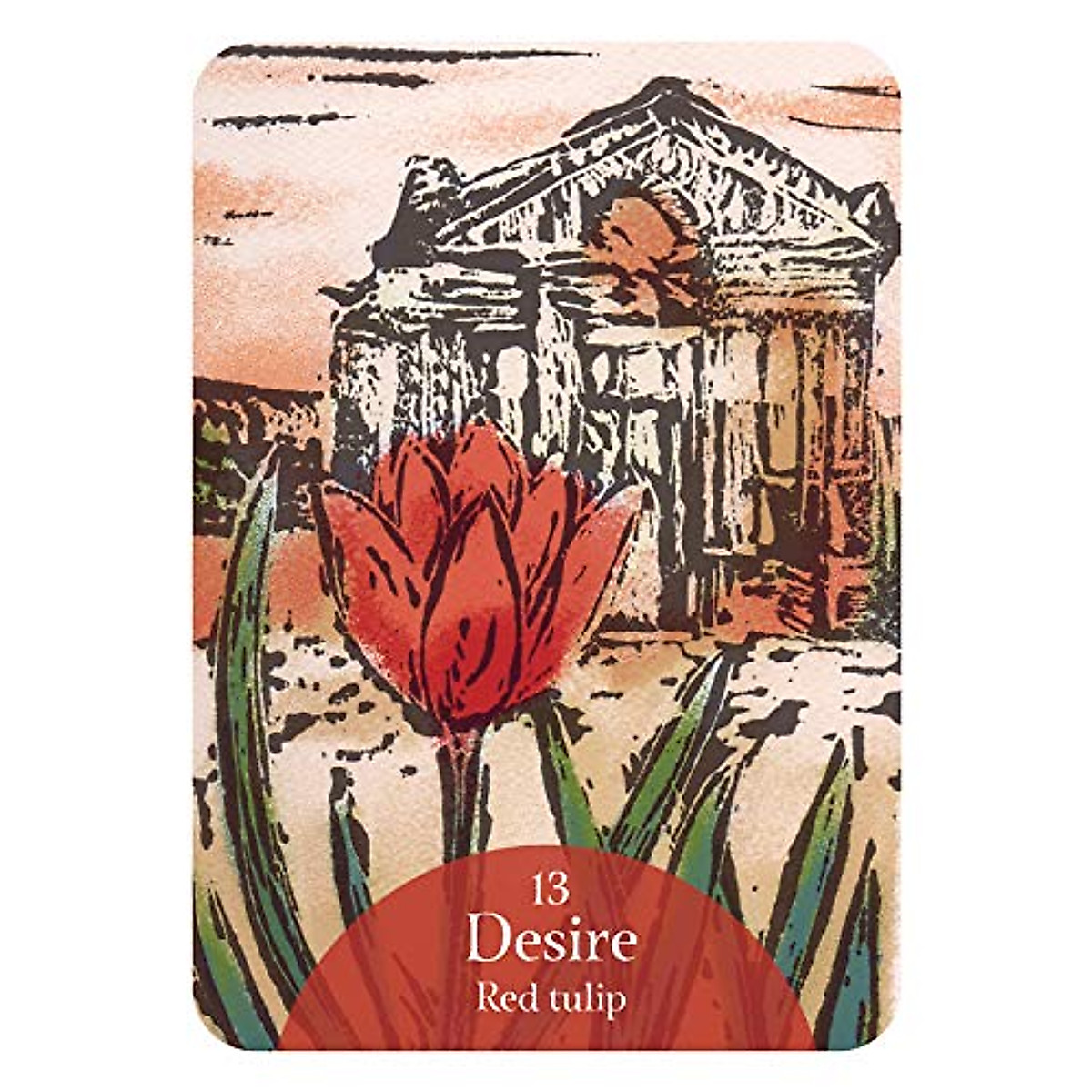 The Language of Flowers Oracle: Sacred botanical guidance and support (44 Full-Color Cards and 144-Page Guidebook) (Rockpool Oracle Card Series)