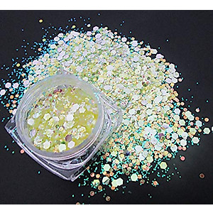 LuckForever 12 Colors Chunky Body Glitters Iridescent White Pink Purple Hexagon Nail Glitters Sequins Flakes Powder for Acrylic Nails Crafts Paints Resin Cosmetics