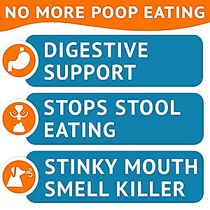 Chew No Poo - Coprophagia Treatment for Dogs - Prevent Dog Poop Eating - Natural Stool Eating Deterrent + Breath Aid - Probiotics & Digestive Enzymes - Boosts Gut Health - Made in USA - 120 Soft Chews