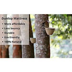 100% Natural Latex Mattress Topper - 2" Thick (Medium, Queen)