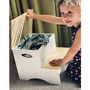 Tender Leaf Toys - Forest Steps - Lightweight and Portable Step Stool for Kids with Storage Space and Handles - Easy to Move, Great for Home, Kitchen, Nursery Room, and Countertop - Age 3+