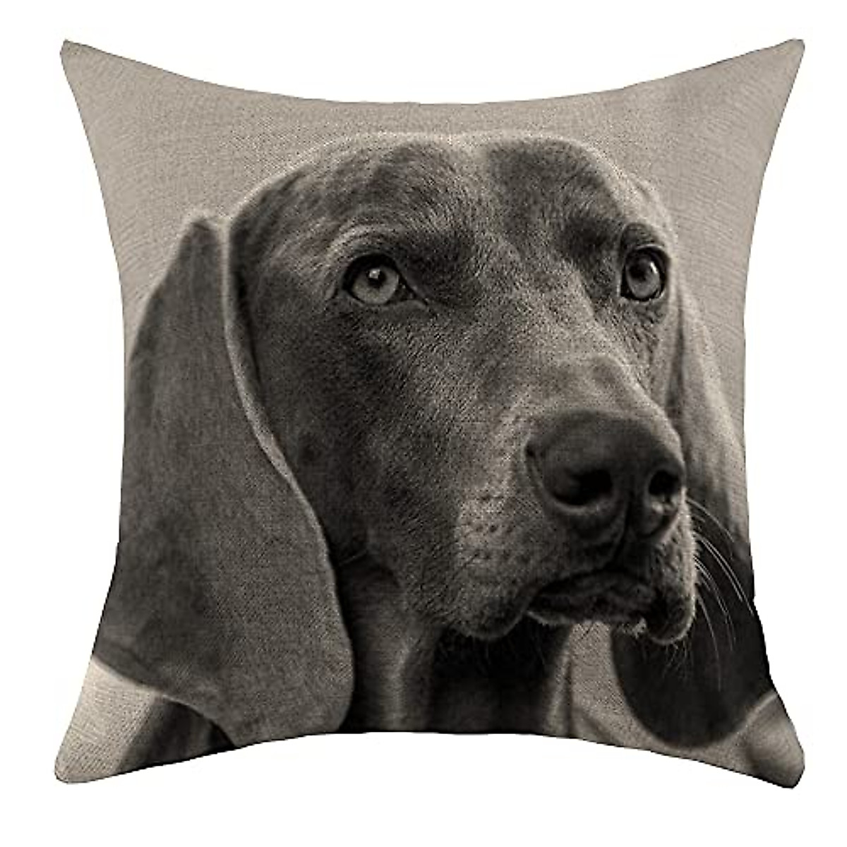 Mmordowr Decorative Throw Pillow Cover Square Pillowcase Linen Themes Weimaraner Dog No Animals Pets Wildlife Black White Away One Canine Copy Space Plain Studio Cushion Case for Sofa Car 16x16 Inch
