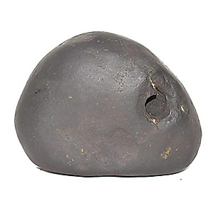 Rudrakshguru Rama Shaligram - Gandaki River Nepal