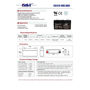 Casil 6V 1.3Ah Replacement Battery Compatible with WB613 UB613 PS612 WKA6-1.3F ExpertPower EXP612 6V 1.2 Mighty Max ML1.3-6 Crome AJC SigmasTek Elk 0613 NPP NP6-1.3 2 Pack