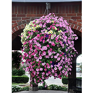 Soil Moist JCD-05SM 8 oz Hydrogel Granules