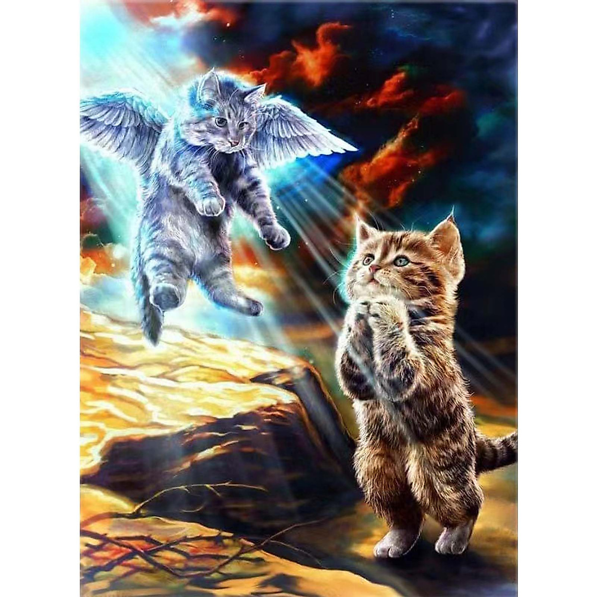 ZHUDENGXJL Diamond Art Kits for Adults Beginner, DIY Angel Cat with Prayed Cat Diamond Art for Adults-5D Full Round Drill Painting Kit with Gem Art Kits Gift for Home Decor 12x16inch