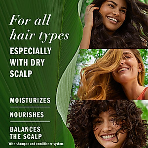 Herbal Essences Bio: Renew Potent Aloe + Eucalyptus Conditioner Scalp Balance, 13.5 Fl Oz, 5.523 Fl Oz