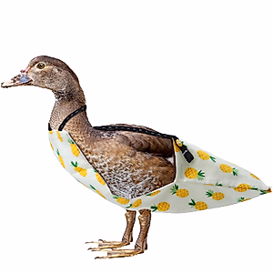 craftshou 3 Pcs Duckling Chicken Diaper Washable Reusable Goose Clothes Farm Pet Diapers Bow Tie Ducky Diapers Supplies for Poultry