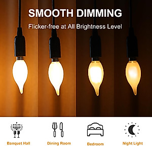 Decoaui E12 LED Chandelier Light Bulbs, 4W(40w Equivalent) Dimmable C11 Frosted Glass, 450 Lumens, 2700K Soft White, Candle Shaped, Ideal for Candelabras Open Fixtures, 12-Pack