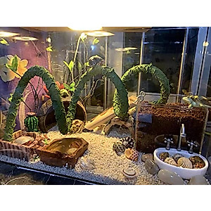 Hermit Crab Climbing Toys, Jungle Vines for Reptiles, Small Animal Terrarium Decor, Bendable, Artificial, for Hermit Crab, Frog, Reptile