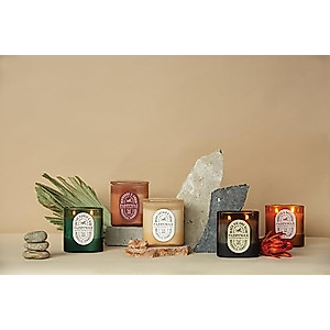 Paddywax Scented Candles Vista Collection Vintage Western Artisan Candle, 12-Ounce, Tobacco & Patchouli