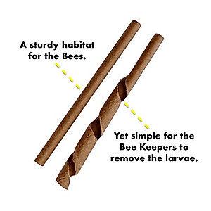 Mason Bee Tubes | 100 Pack of 6 inch Long by 5/16 Inner Diameter Hole Cardboard Bee House Tubes | Great Paper Refills or Inserts/Liners for a Bee House, Bee Condo, Hotel, or Nest