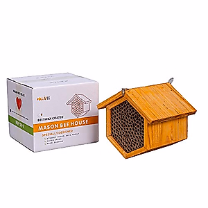 Mason Bee House - Handmade Natural Wooden Bee Hive Coated with Wax for Water-Proof and Long Service Life - Attracts Peaceful Bee Pollinators to Enhance Your Garden's Productivity