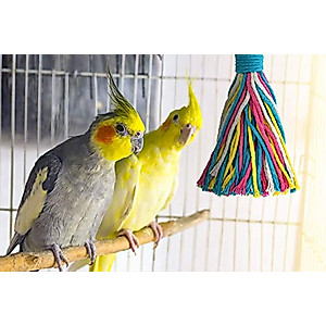 Sweet Feet and Beak Platinum Tweeter Weave Bird Toys - Perfect Cage Toy for Playing & Preening - Colorful, Safe, Cotton Rope - Birds Cage Playground Accessories & Supplies - Parrot Toys (Large)