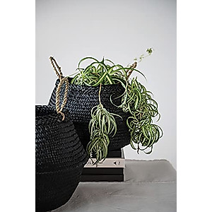 Creative Co-Op Seagrass Belly Handles, Set of 2 Basket, Black, 2